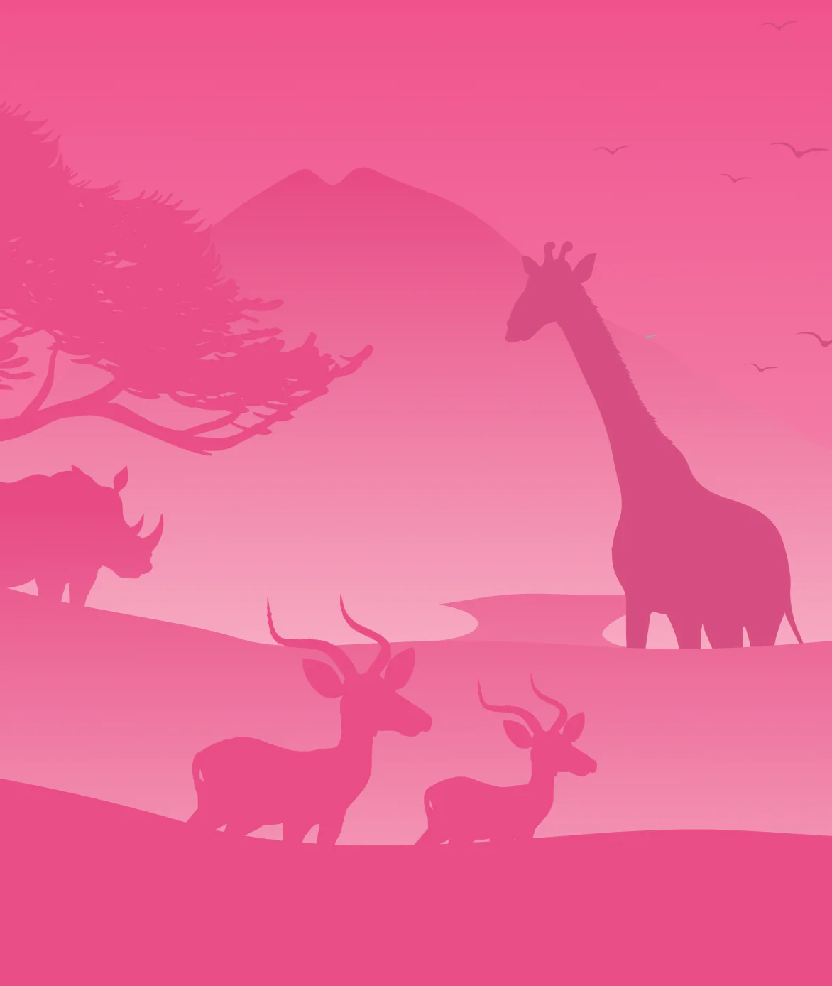 Explore Our Travel eSIMs for Middle East & Africa | eSimmer